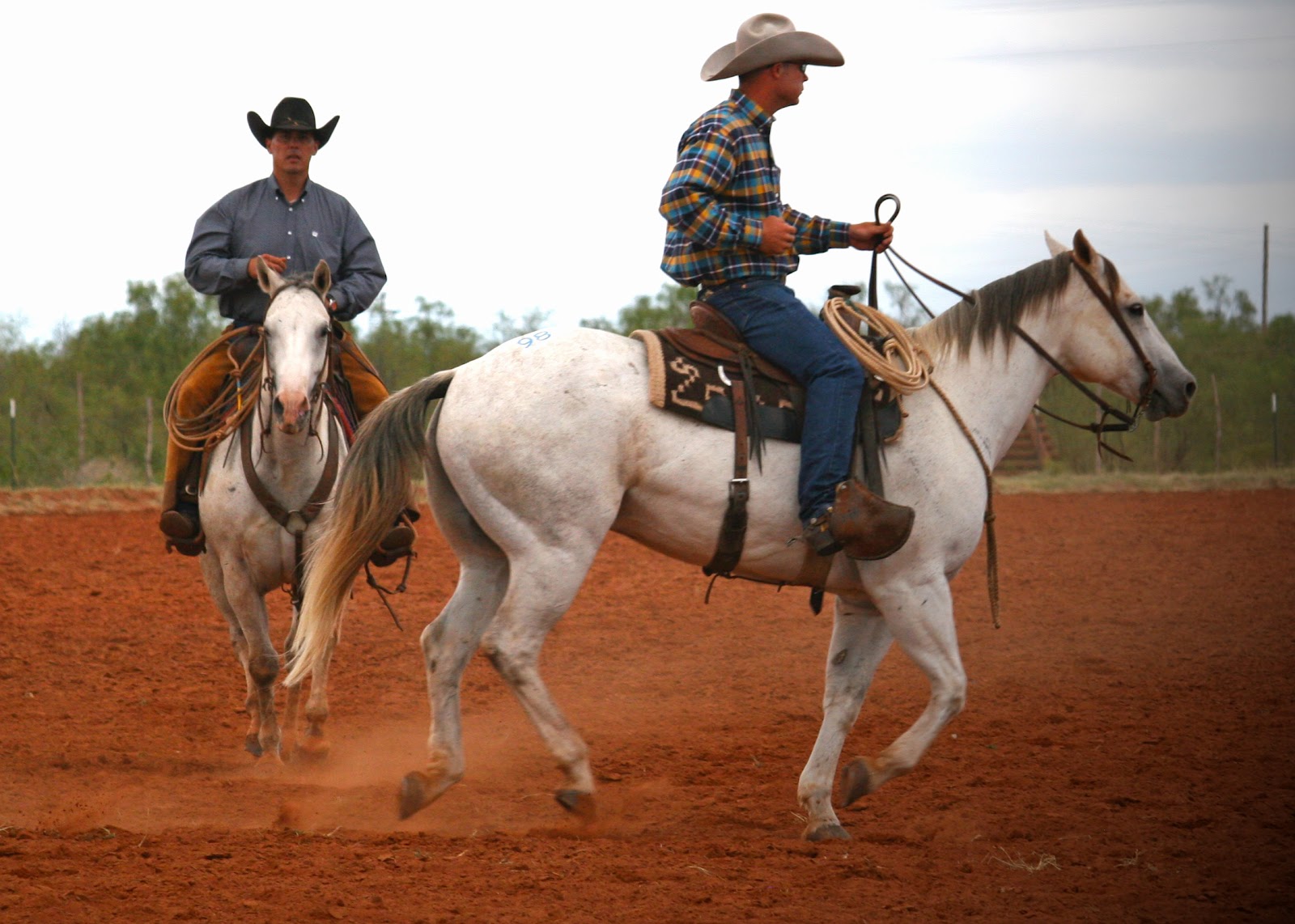 Life On The Plains: Texas Legends 2012 Production Sale - Waggoner Ranch ...