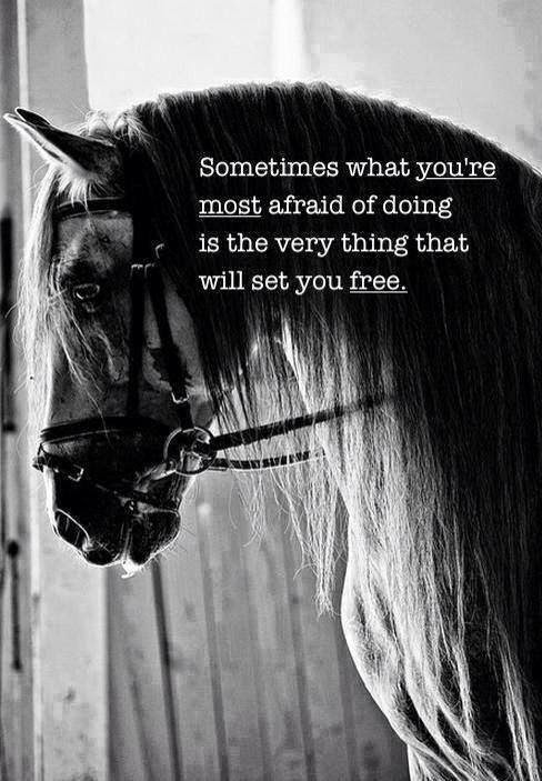Sometimes what You are most Afraid of doing is the very thing that will ...