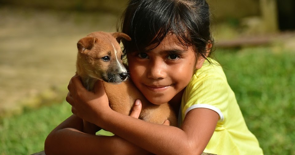 Frugal Freebies: FREEBIE: Dog Breed Colouring Pages (ALL)