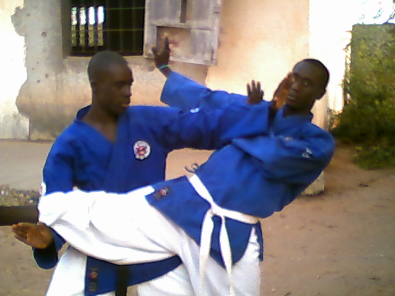 Le Nanbudo: Art martial japonais: Présentation du Nanbudo