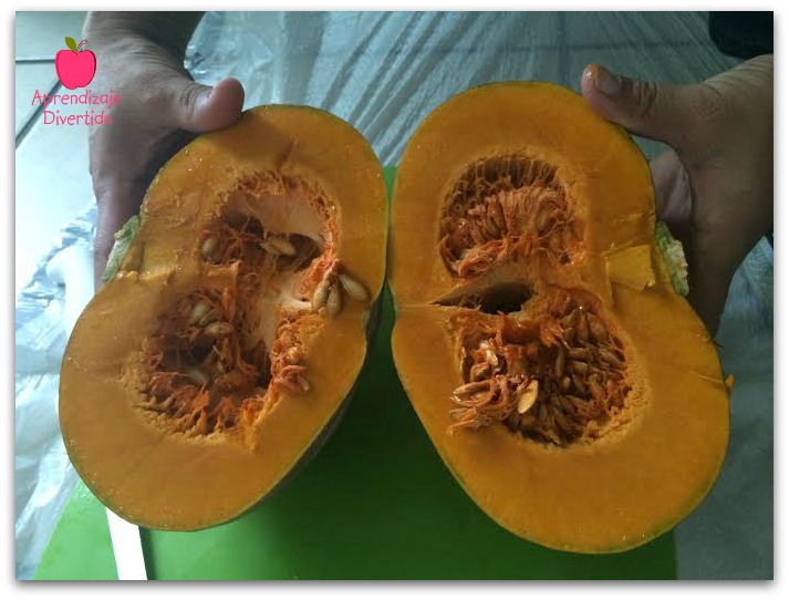 Interior de una calabaza