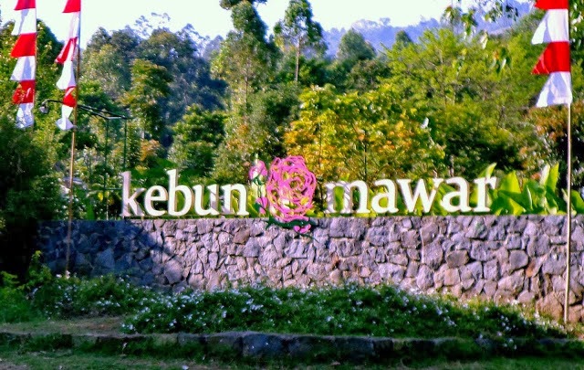 Kebun Mawar Situhapa Garut