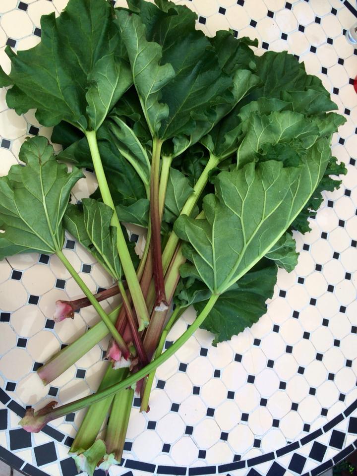 COOKam i guštam: Pita od rabarbare i malina