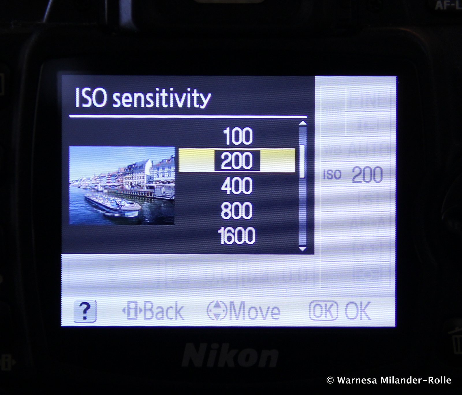 Nikon Newbie: ISO Basics For The Newbie Photographer