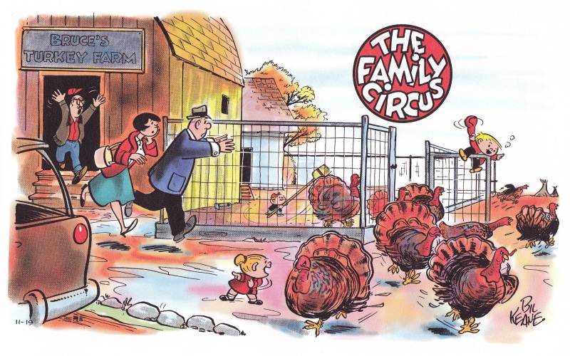 Vintage American Thanksgiving: 1950'S FAMILY CIRCUS FREEING THE TURKEYS