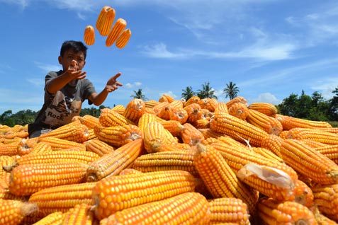 Bincang Agribisnis: Kebijakan Pemerintah dalam Pemasaran Produk Pertanian
