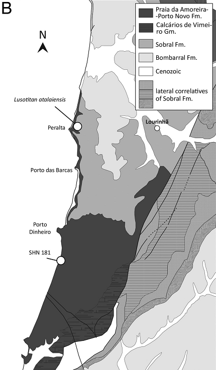 Species New to Science: [Paleontology • 2019] Oceanotitan dantasi • A ...