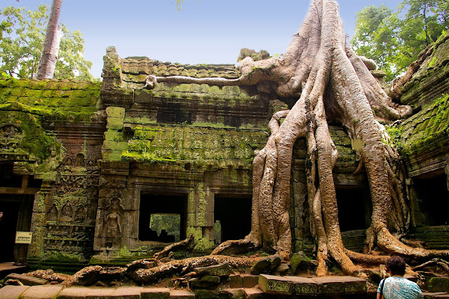 Ishowutravel.Cambodia: Ta Prohm Temple