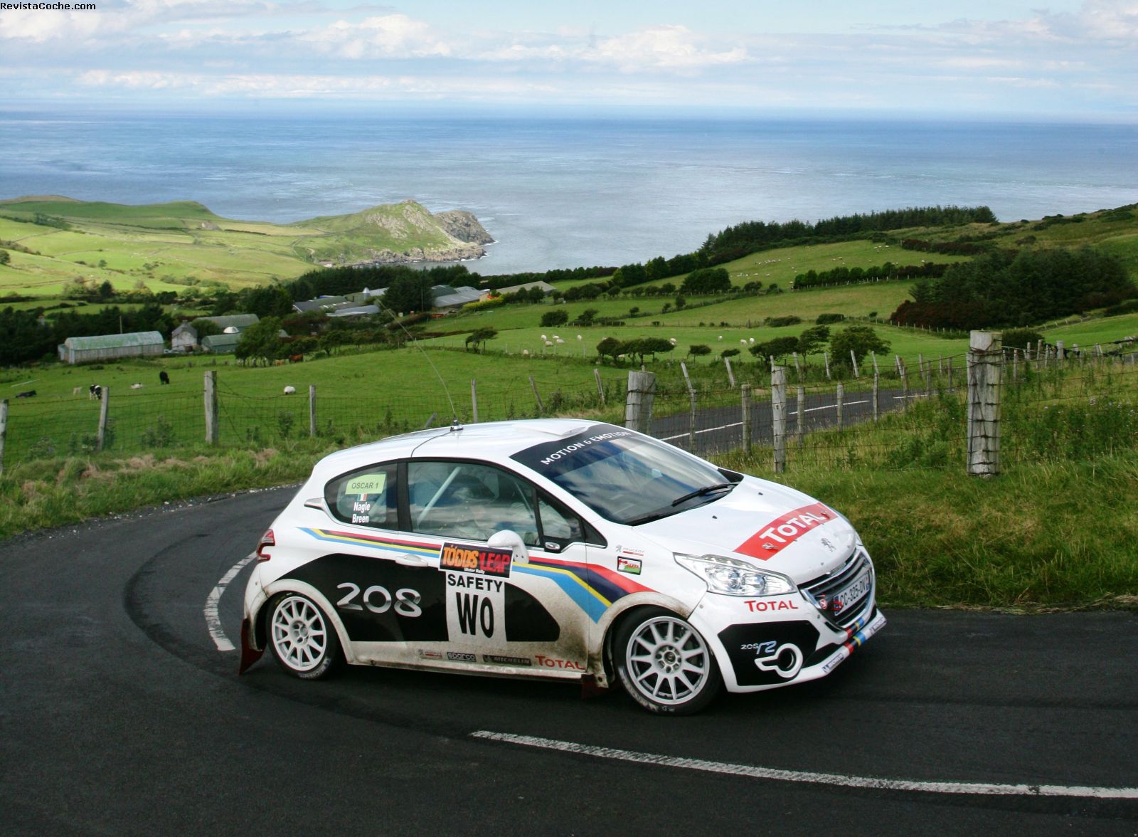 Revista Coche: Espectacular el Peugeot 208 R2 en el Rally del Ulster
