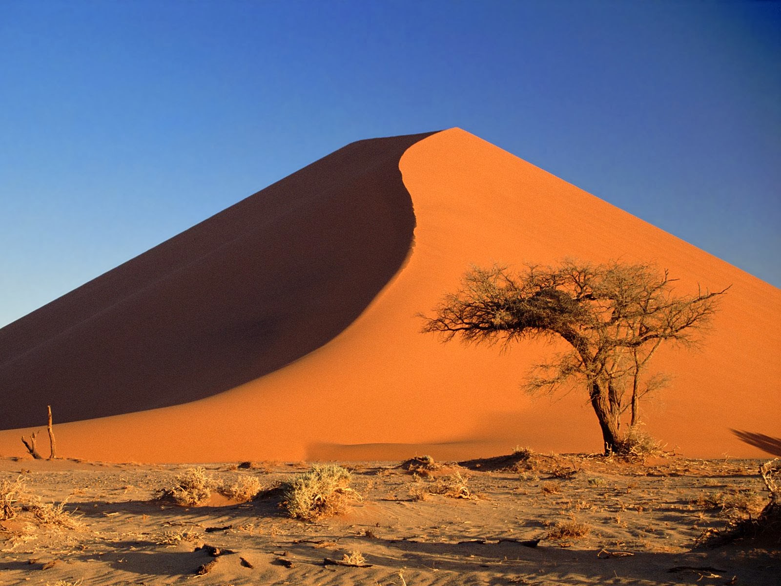 World Beautifull Places: Sand Dunes Of The Sahara Africa New Nice ...