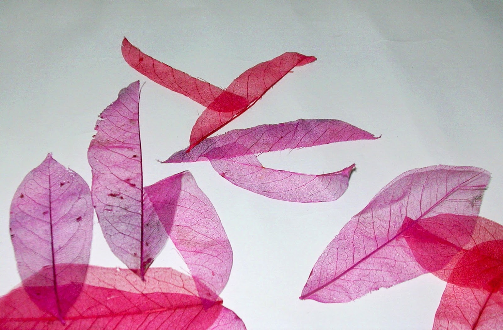 berbagi gagasan: STEP BY STEP MEMBUAT BUNGA MINI, KERAJINAN TANGAN DAUR ...