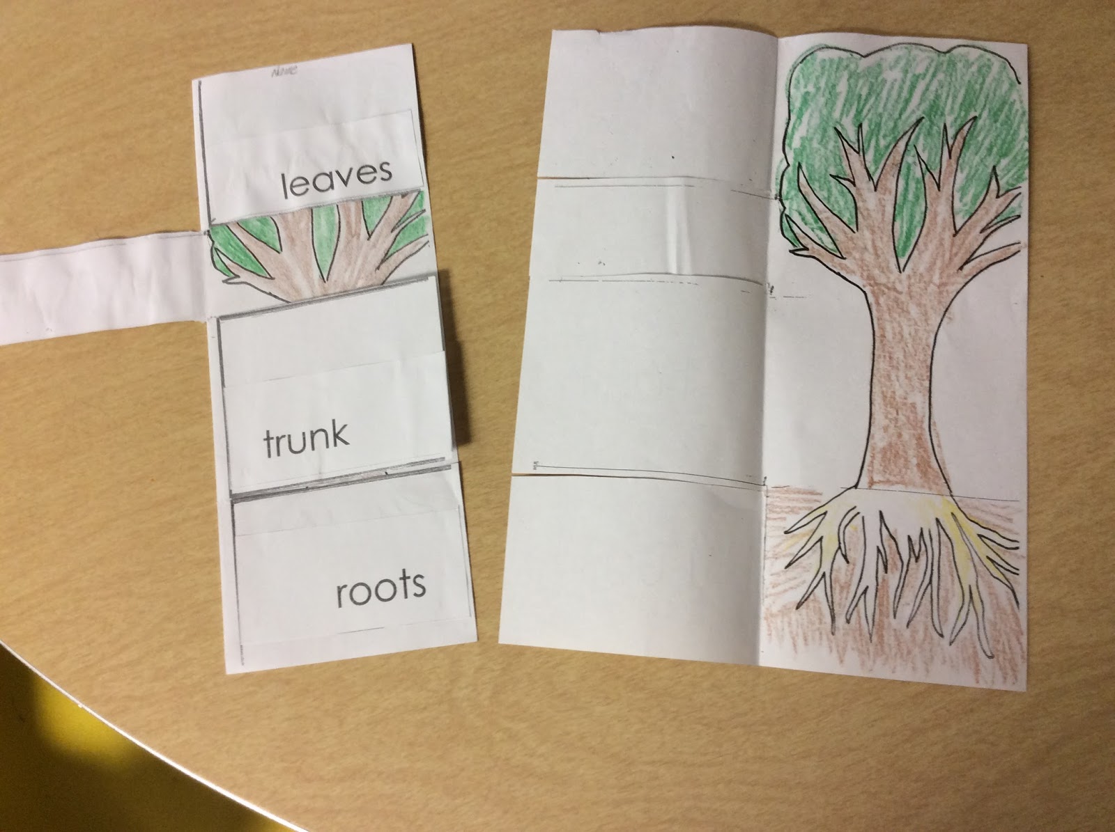 Kindergarten: Hand-in-hand we grow: Trees and seasons