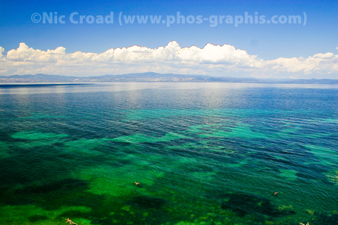 green sea ~ Christine O'Donnell