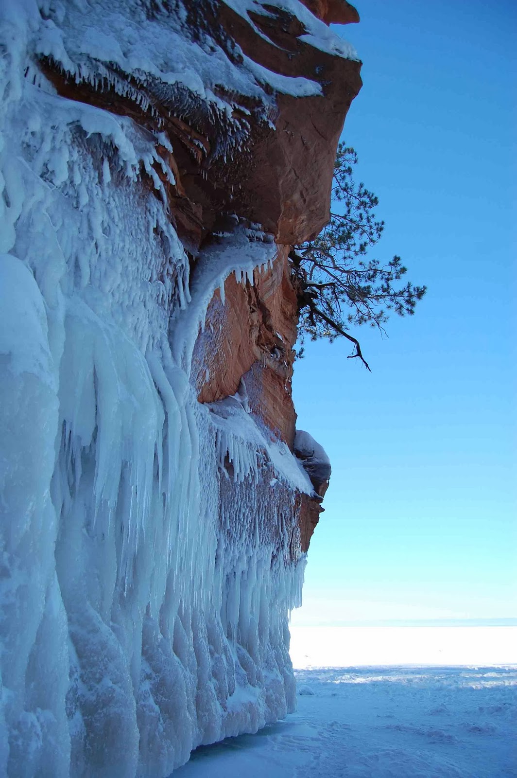 Muddy Paws & Inky Fingers: Seriously? for Pinque Peacock and Friends ...