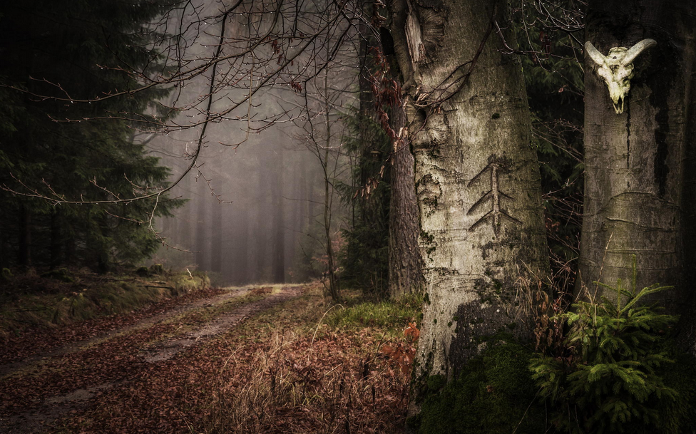 Slike | urbane legende,istinite strasne price i ukleta mesta