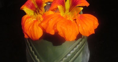 cocktail virgin slut: leviathan