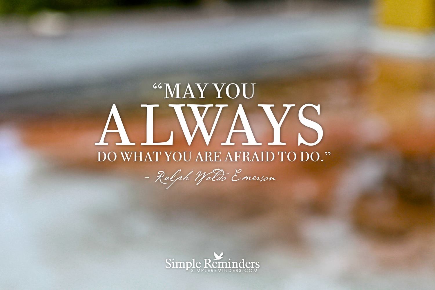 Flowers in a water bottle and other simple pleasures: Simple Reminders