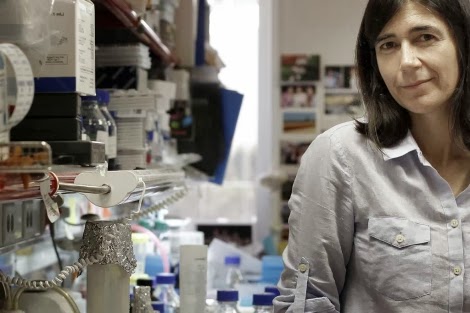 Mujeres y Ciencia: MARÍA BLASCO MARHUENDA