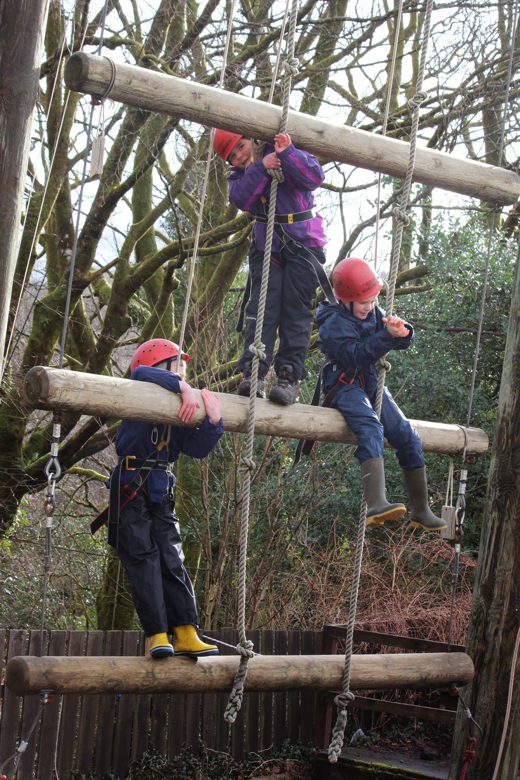 Balfron Scouts: Cubs at Ardroy
