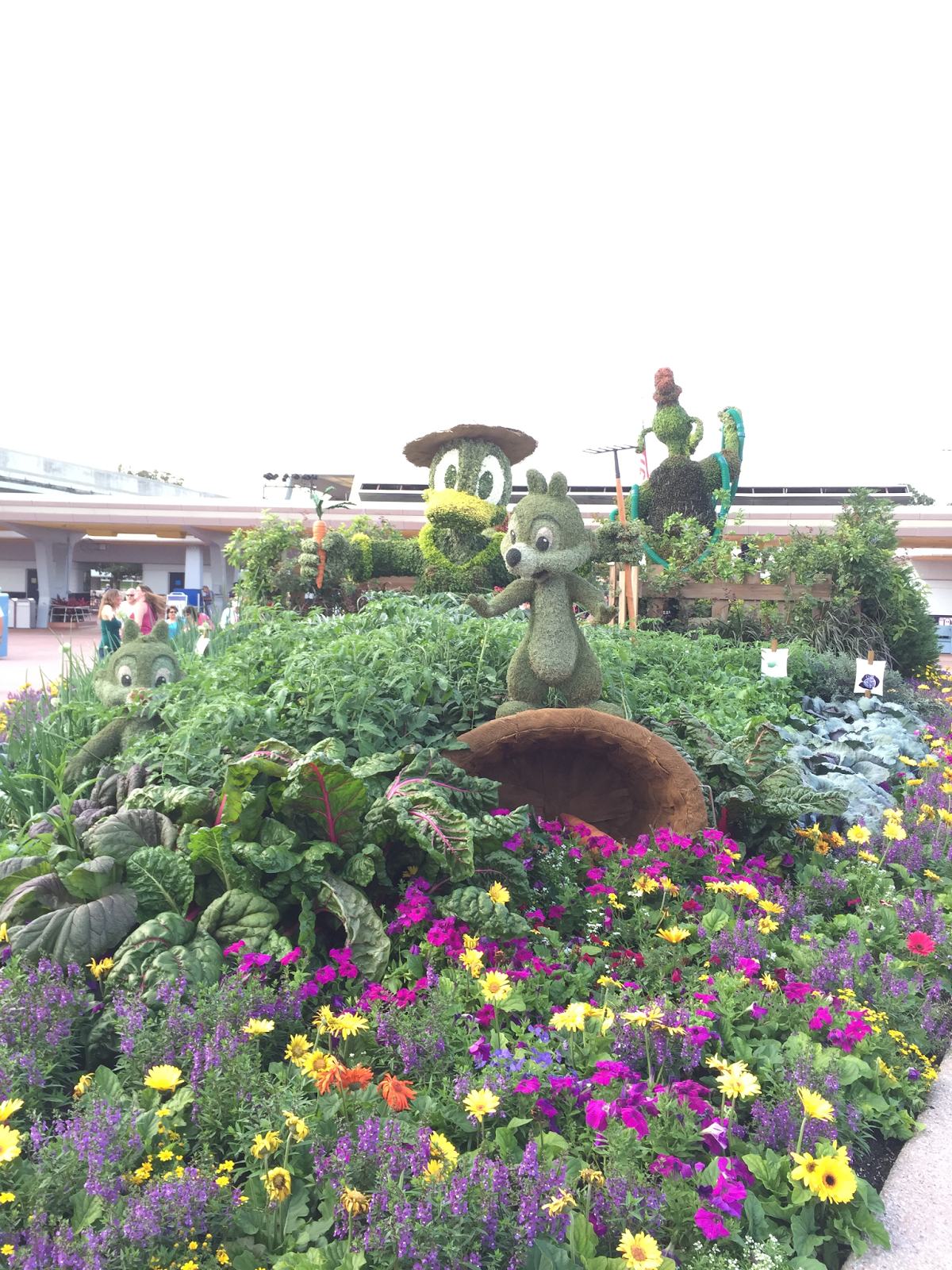 CO-Horts: Bringing Home the Magic of Disney Horticulture and a Fresh ...