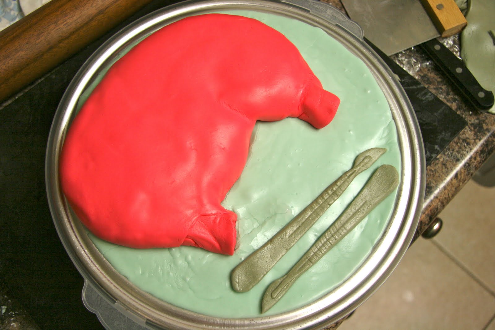 Hooker's Cooker: Surgical Stomach Cake