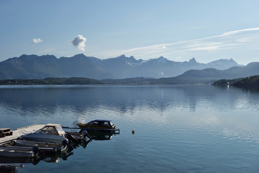 SPEKKHOGGER´N: Saltdalen