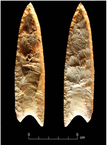 Blood residue from ancient stone Tools, Blut an Steinzeitgeräten