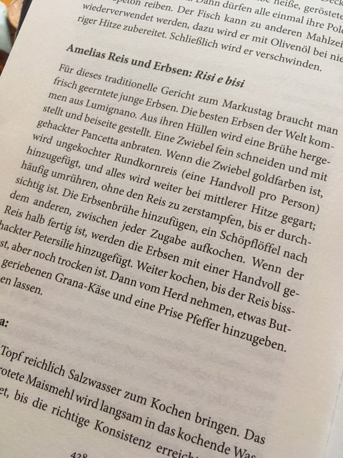 Literaturgarten - ein Bücherblog: *Die Madonna der Berge* von Elise ...