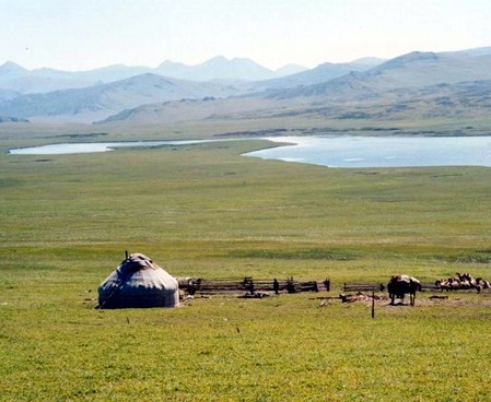 GEOGRAFILIA: Zonele biogeografice - zona temperată