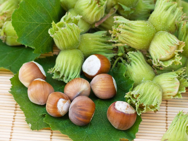 like ?...or not!: Ulei de alune de padure