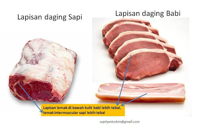 Resep Kesehatan dari Bunda: Begini Cara Membedakan Daging Sapi dan Babi ...