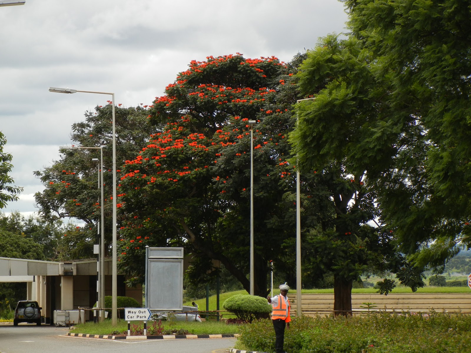 Leo in Malawi: March 21 - Thursday - Kamuzu, Lilongwe international airport