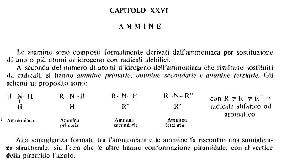 deladelmur: Amminoteca
