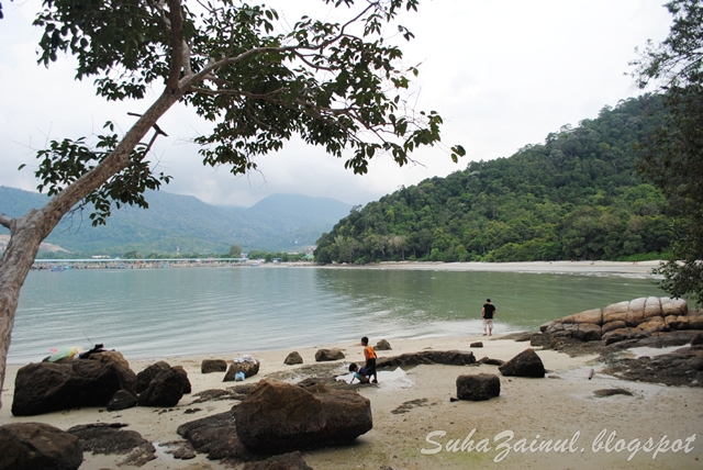 SuhaZainul: Keunikan Taman Negara Teluk Bahang