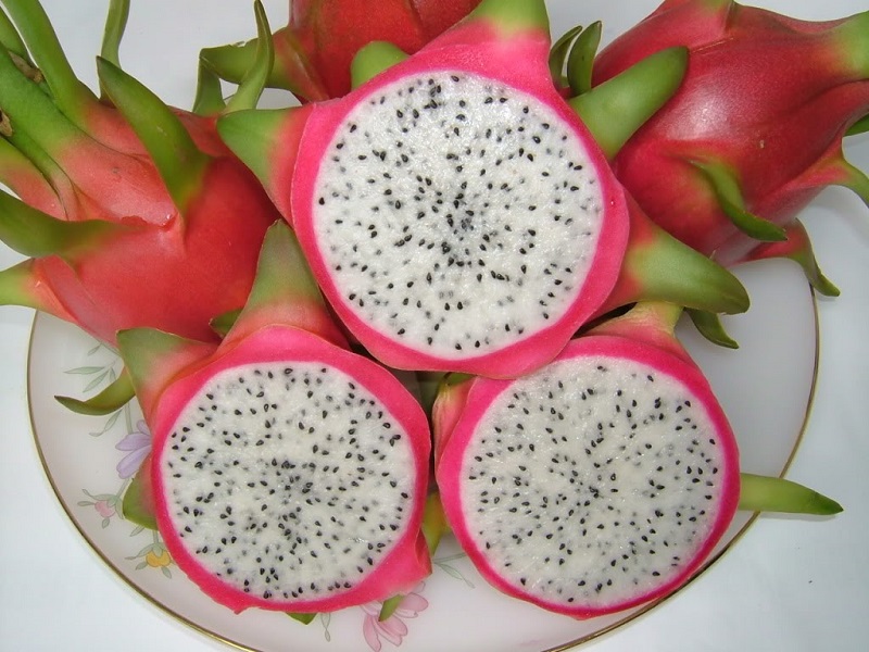 Dragon fruit – A wonderful “fire ball”