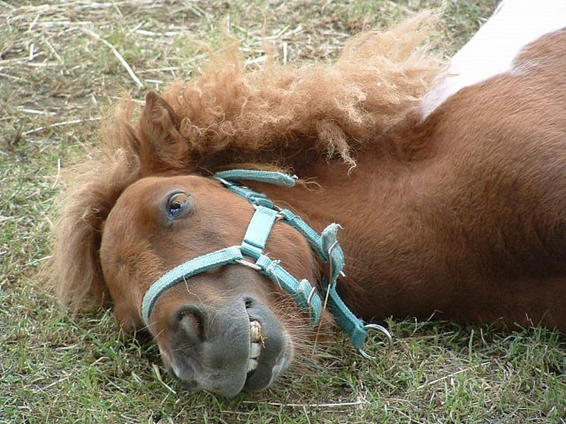 Cogito ergo sum: De la vida real