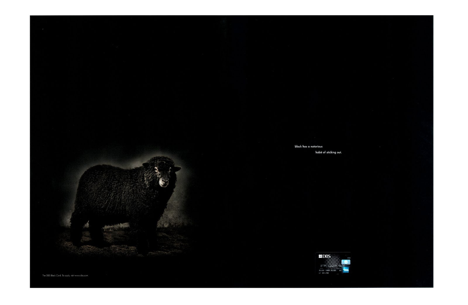 GREGORY YEO - Art Director