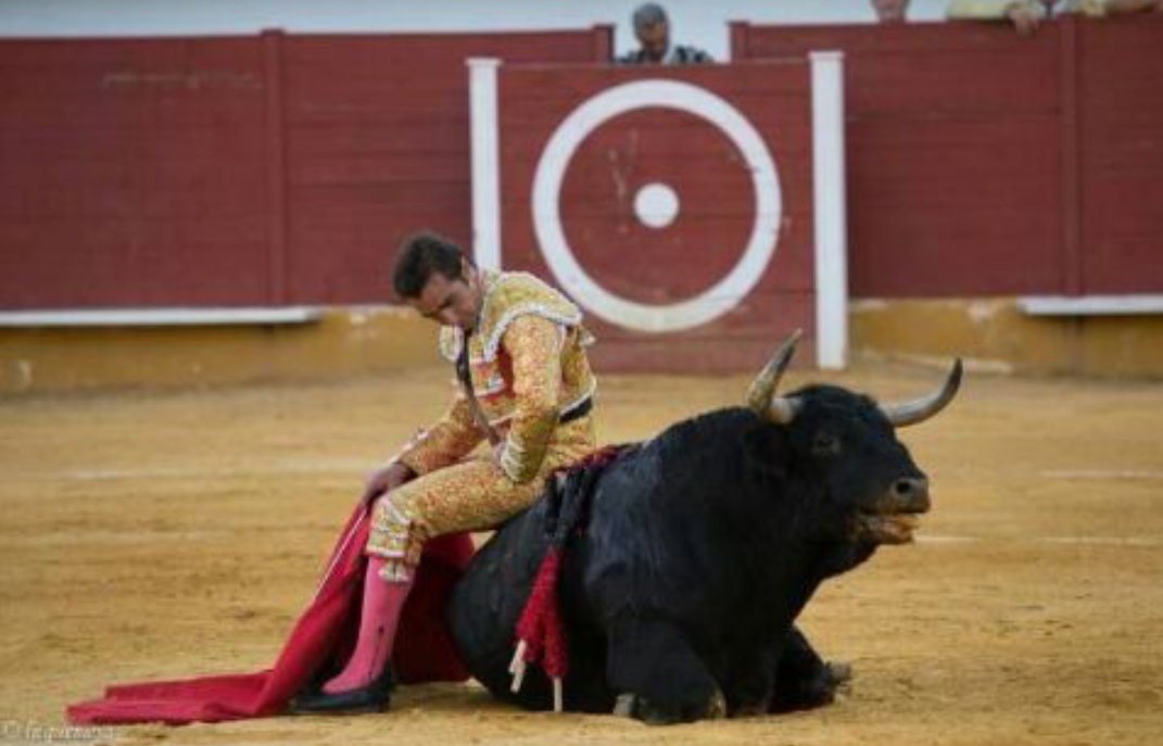 Toreando en los medios: EL TOREO MODERNO