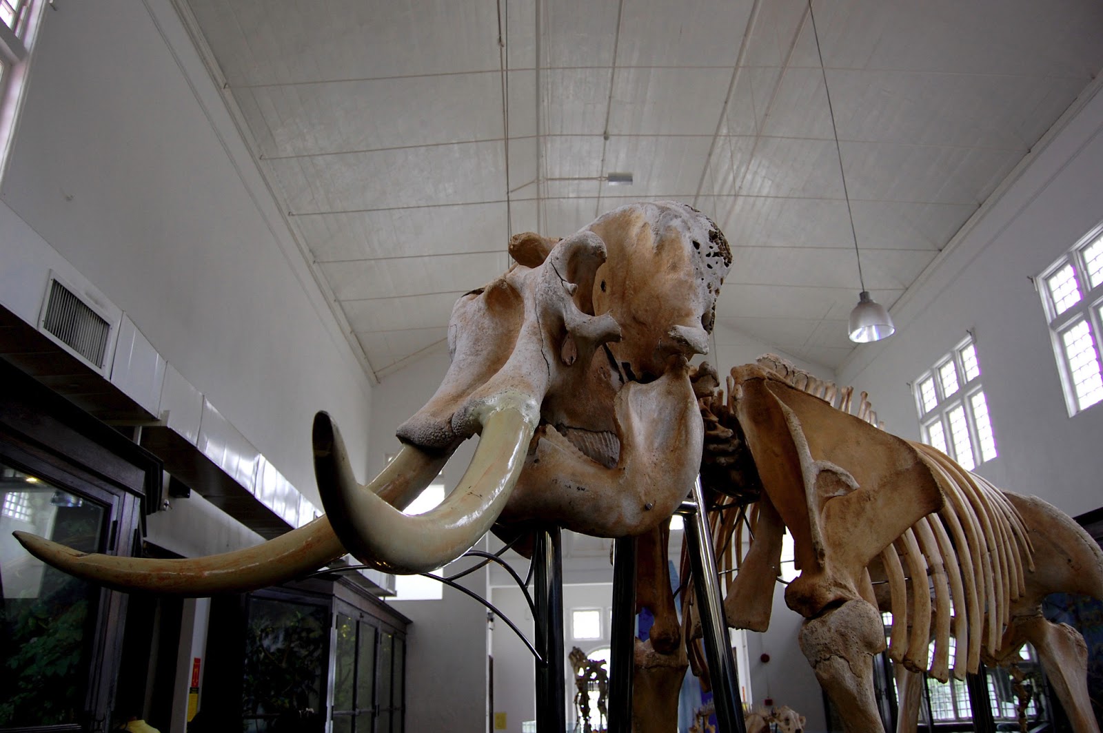 Taiping Photo Gallery: Perak Museum Taiping