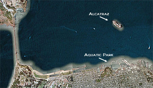 Year of Alison: Alcatraz Swim