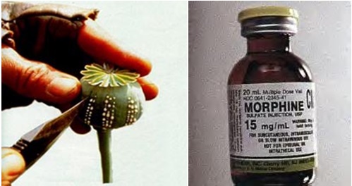 Opioides y dolor crónico: Un poco sobre Opioides