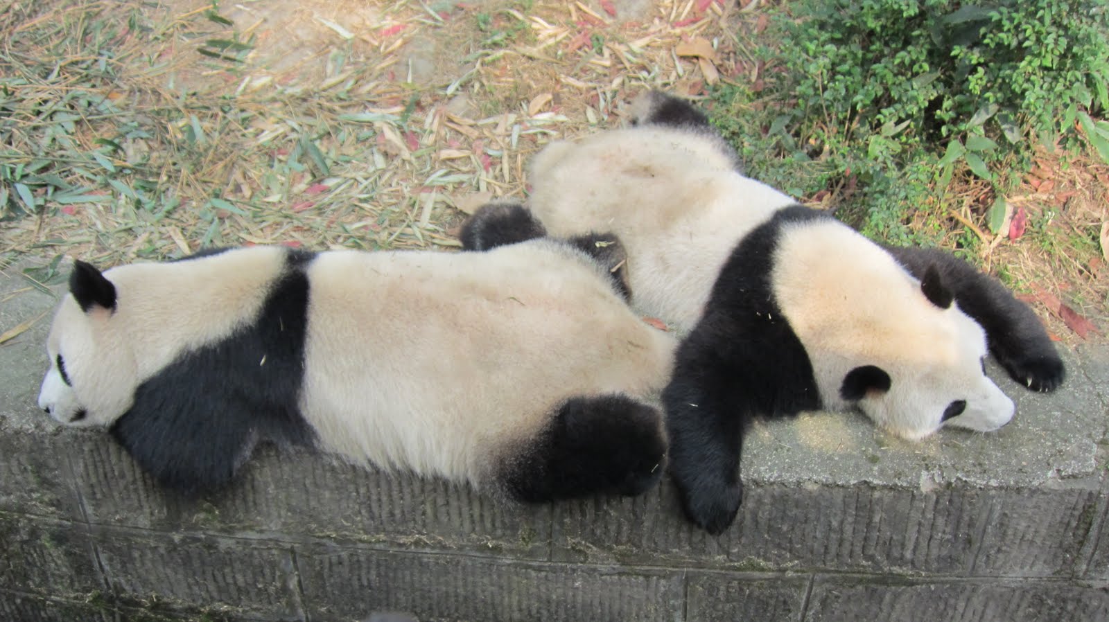 Morton's Musings: Long week!!! TGIF