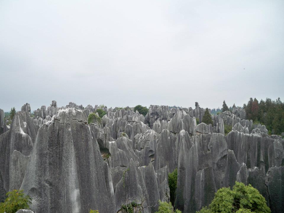 Let's Drink Coffee, Darling: Visit to Shi Lin