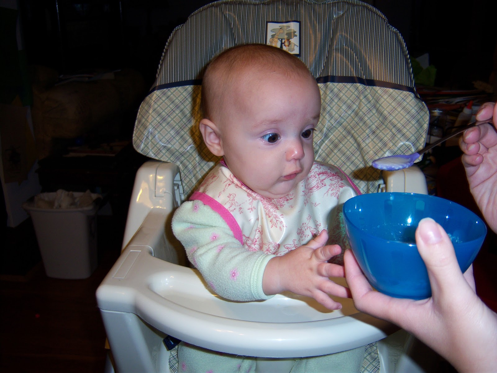 Green Grandma: Complementary Feeding: Breastfeeding to Solid Foods