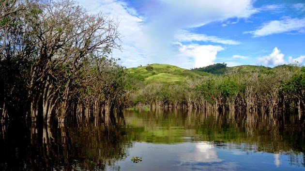 Ekosistem Air Tawar dan Ciri-Cirinya - Guru Geografi