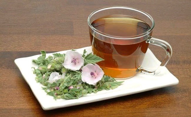 Marshmallow Tea Benefits ~ Healthy Tea 101