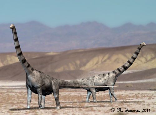 Paleoexhibit: Sauropods of the British Isles Part III