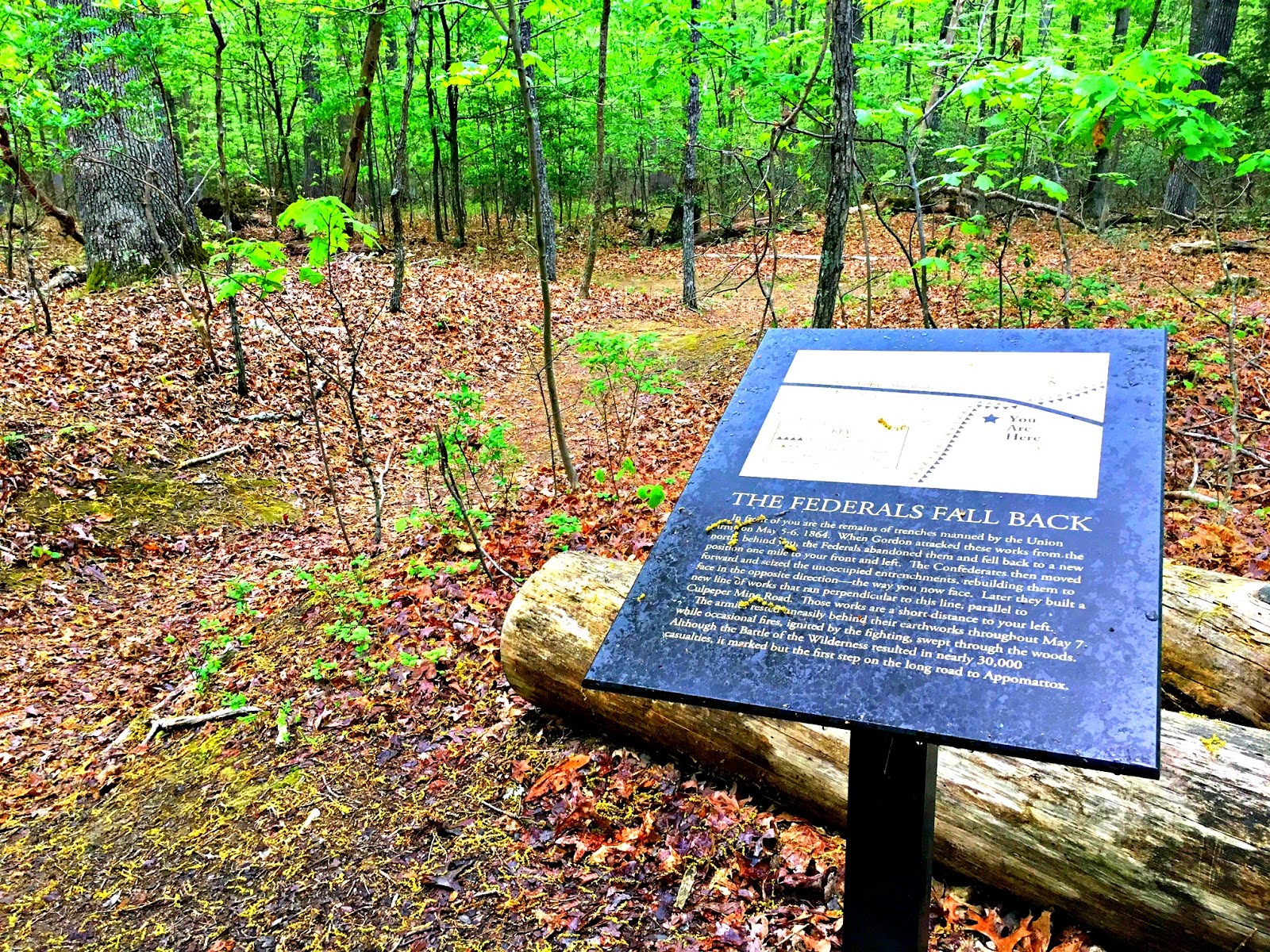 JOHN BANKS' CIVIL WAR BLOG: Voices in the Wilderness: 'Shrieks, cries ...