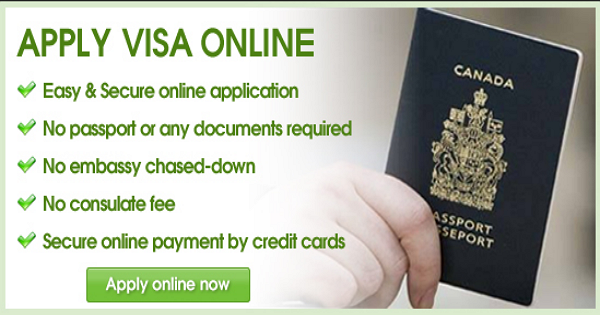 Applyvisafree: Different Visa Types