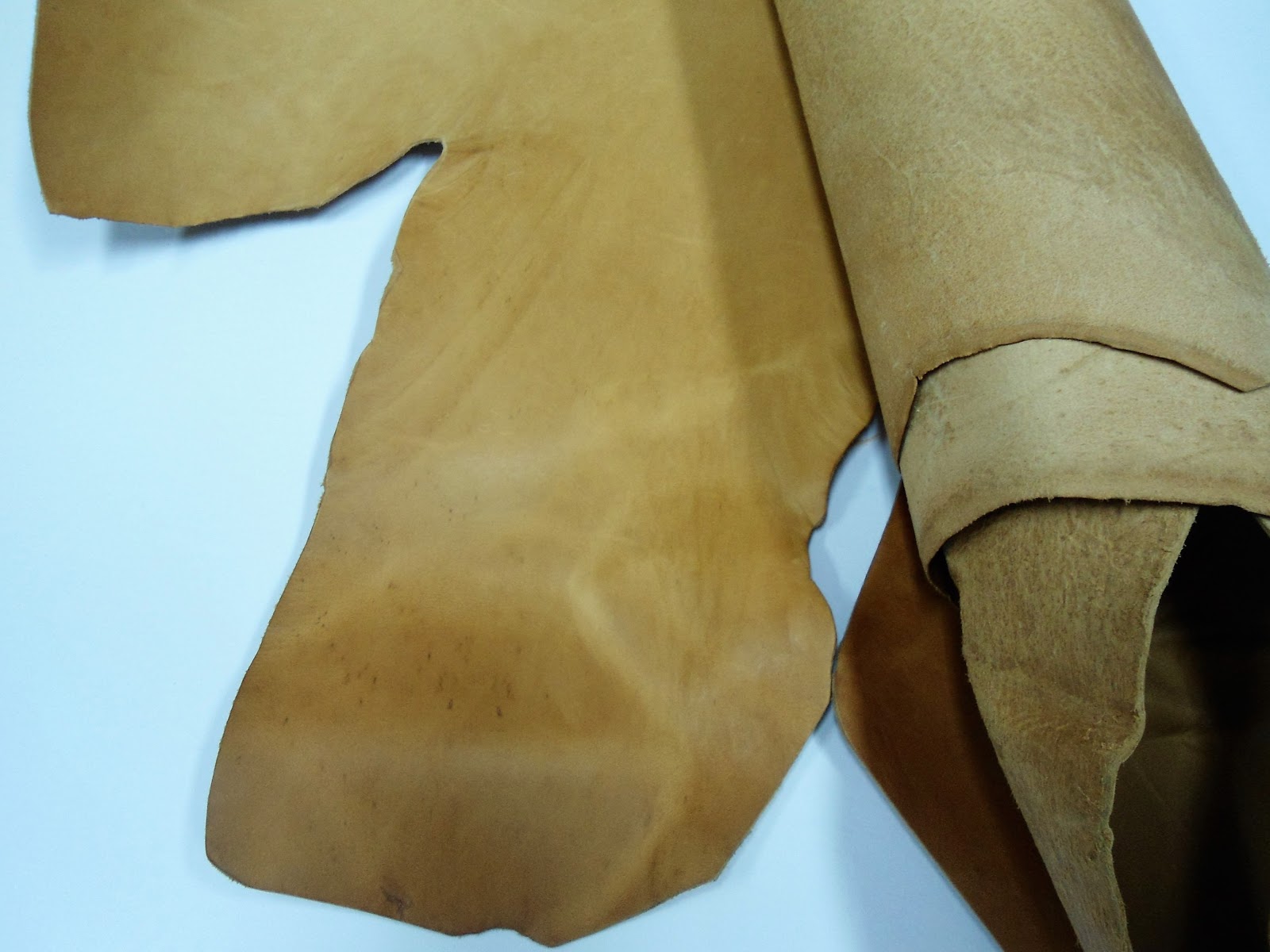 La ventana del cuero: Tema 1. La elección de la piel. 1.3. Tipos de ...